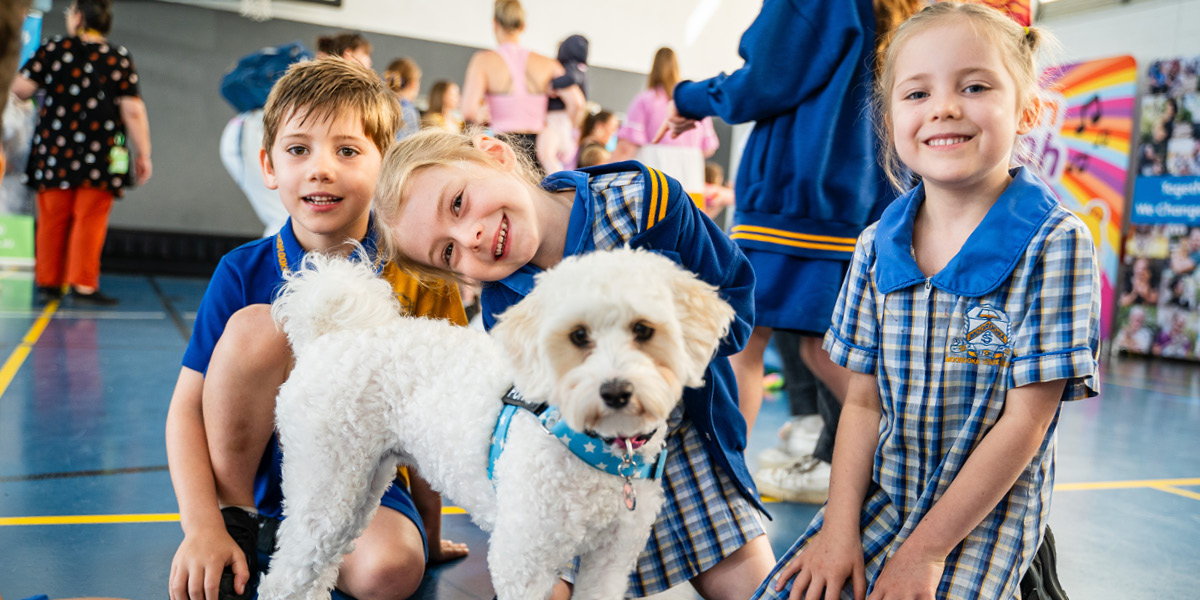 Prevent-a-Bite: Teaching kids about dog safety | Kids and Youth | RSPCA ...